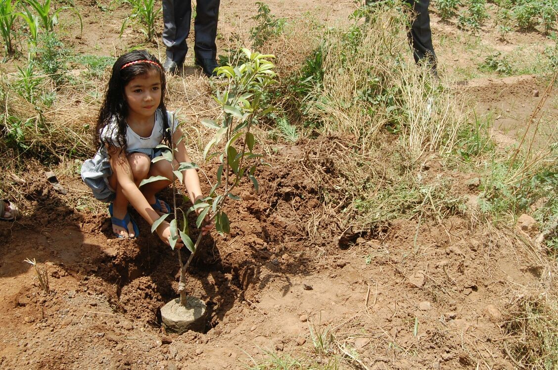 CSR Overview | POWERGRID